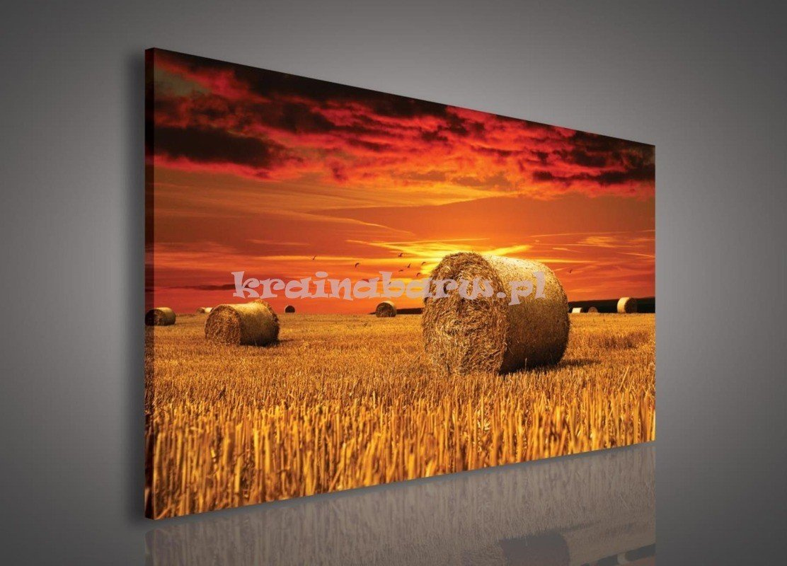 Obraz na płótnie PP225 Bale słomy