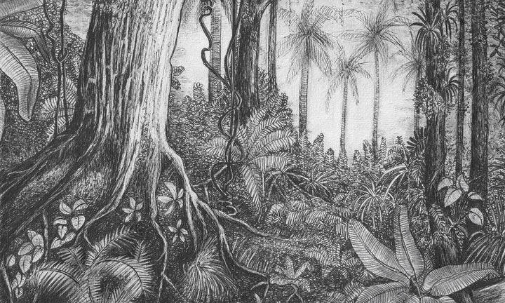 Fototapeta artystyczna Ness tropikalny las grafika